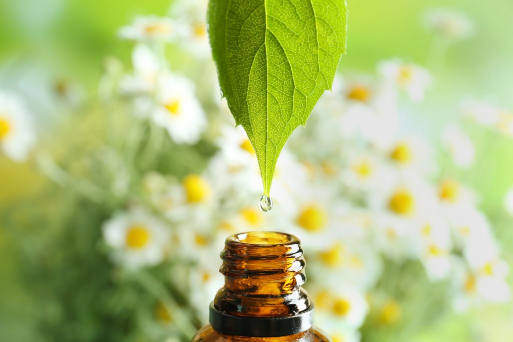 Can We Depend on Essential Oils to Purify the Air We Breathe Indoors ...